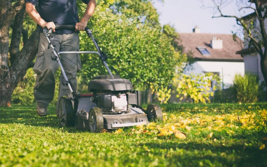 Rules of the Lawn: How Often You Should Mow Your Lawn