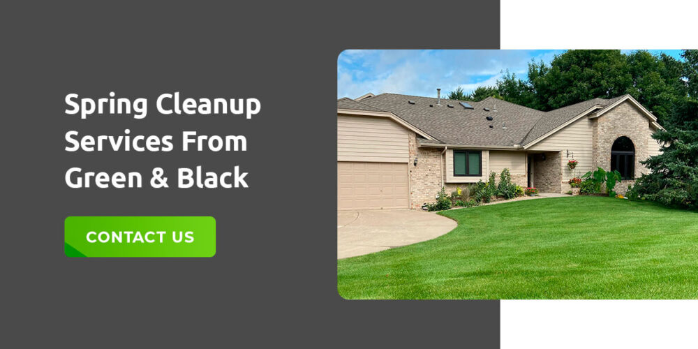 Benefits of Spring Cleanup for Your Yard | Green & Black